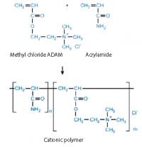 FLOCCULANTS – DYUMANS Limited